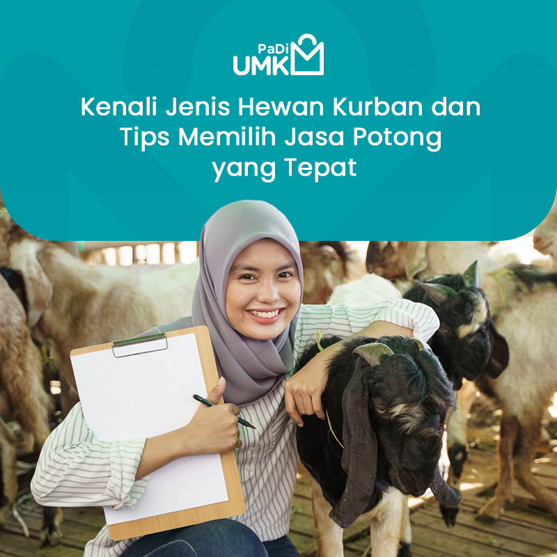 Kenali Jenis Hewan Kurban dan Tips Memilih Jasa Potong yang Tepat
