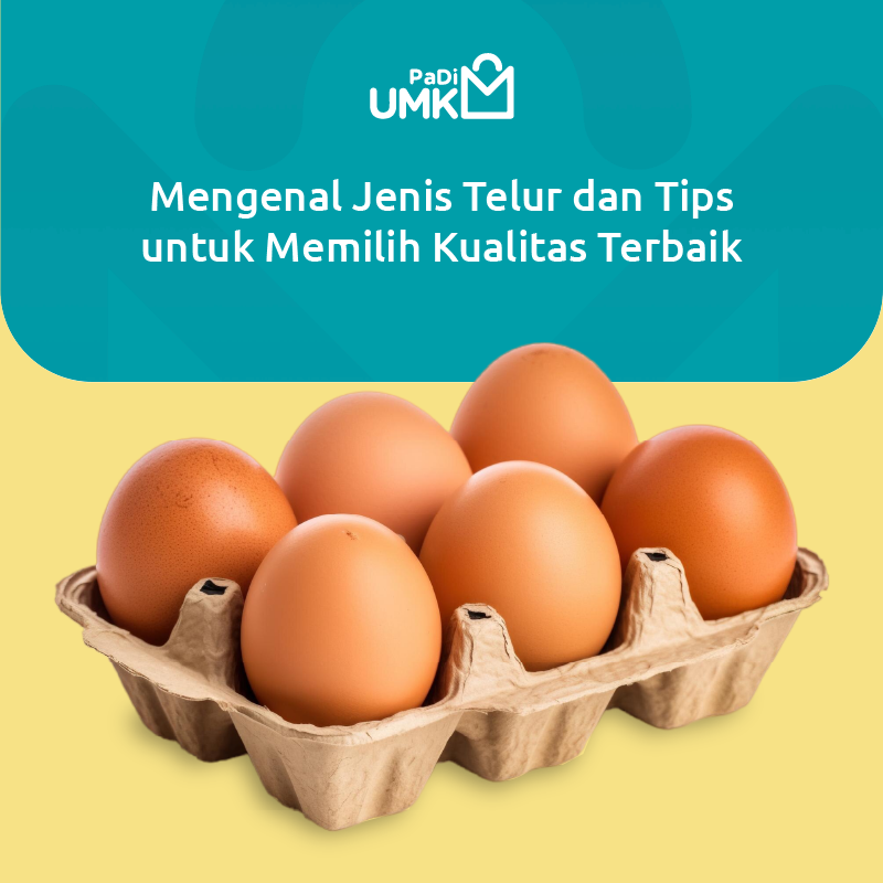 Mengenal Jenis Telur dan Tips untuk Memilih Kualitas Terbaik
