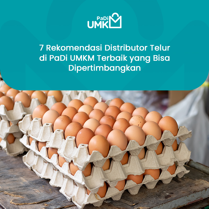 7 Rekomendasi Distributor Telur di PaDi UMKM Terbaik yang Bisa ...
