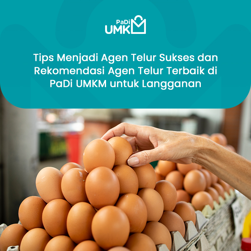 Tips Menjadi Agen Telur Sukses dan Rekomendasi Agen Telur Terbaik di ...