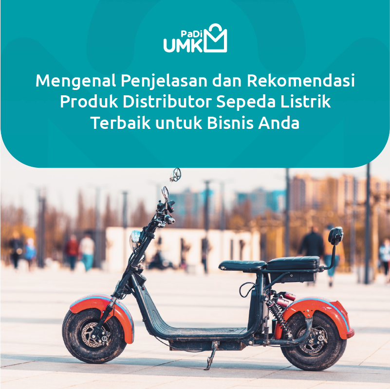 Mengenal Penjelasan dan Rekomendasi Produk Distributor Sepeda Listrik ...