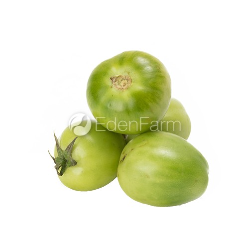 Jual Tomat Sayur Hijau | PaDi UMKM