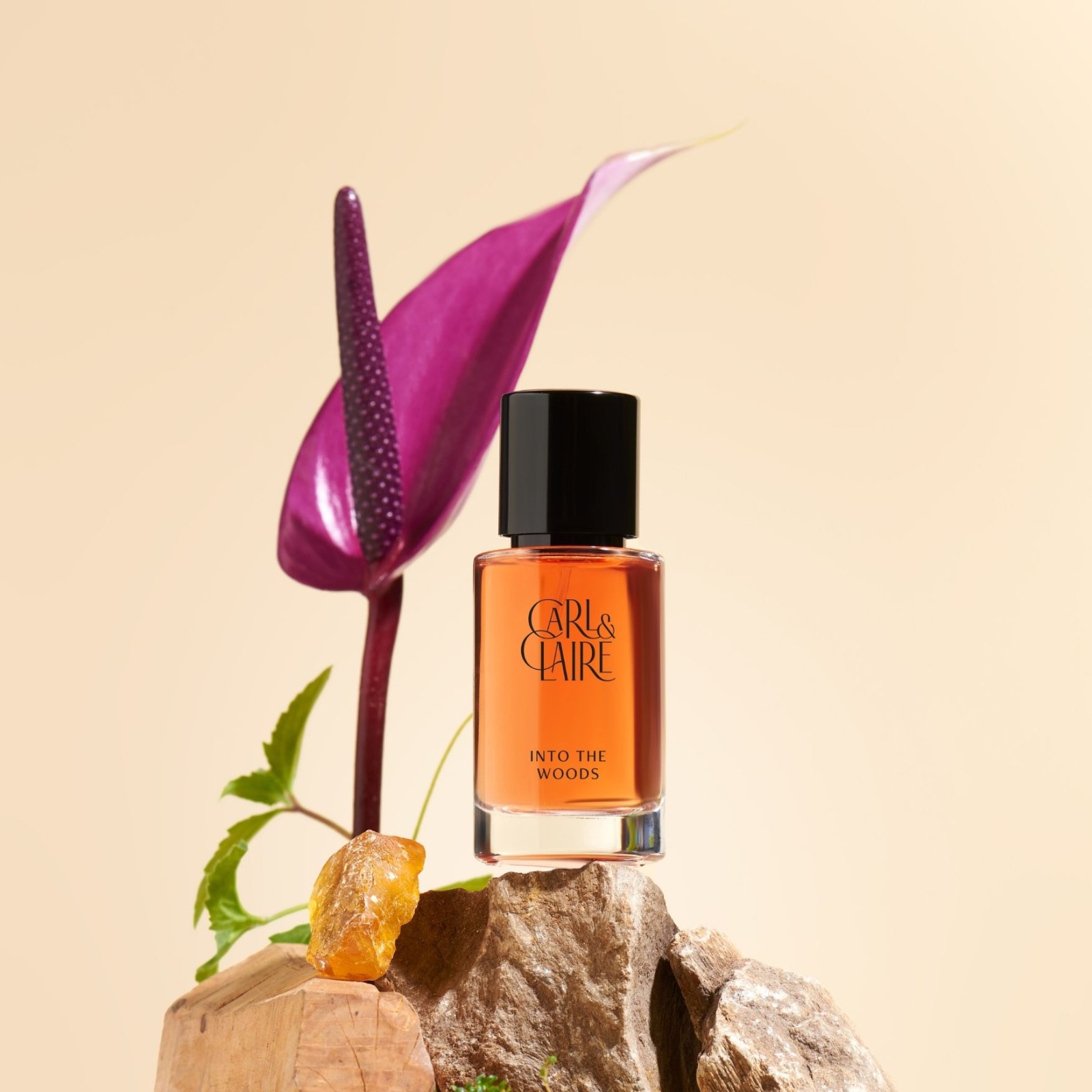 Jual Carl & Claire Parfum EDP Into The Woods 30ml | PaDi UMKM