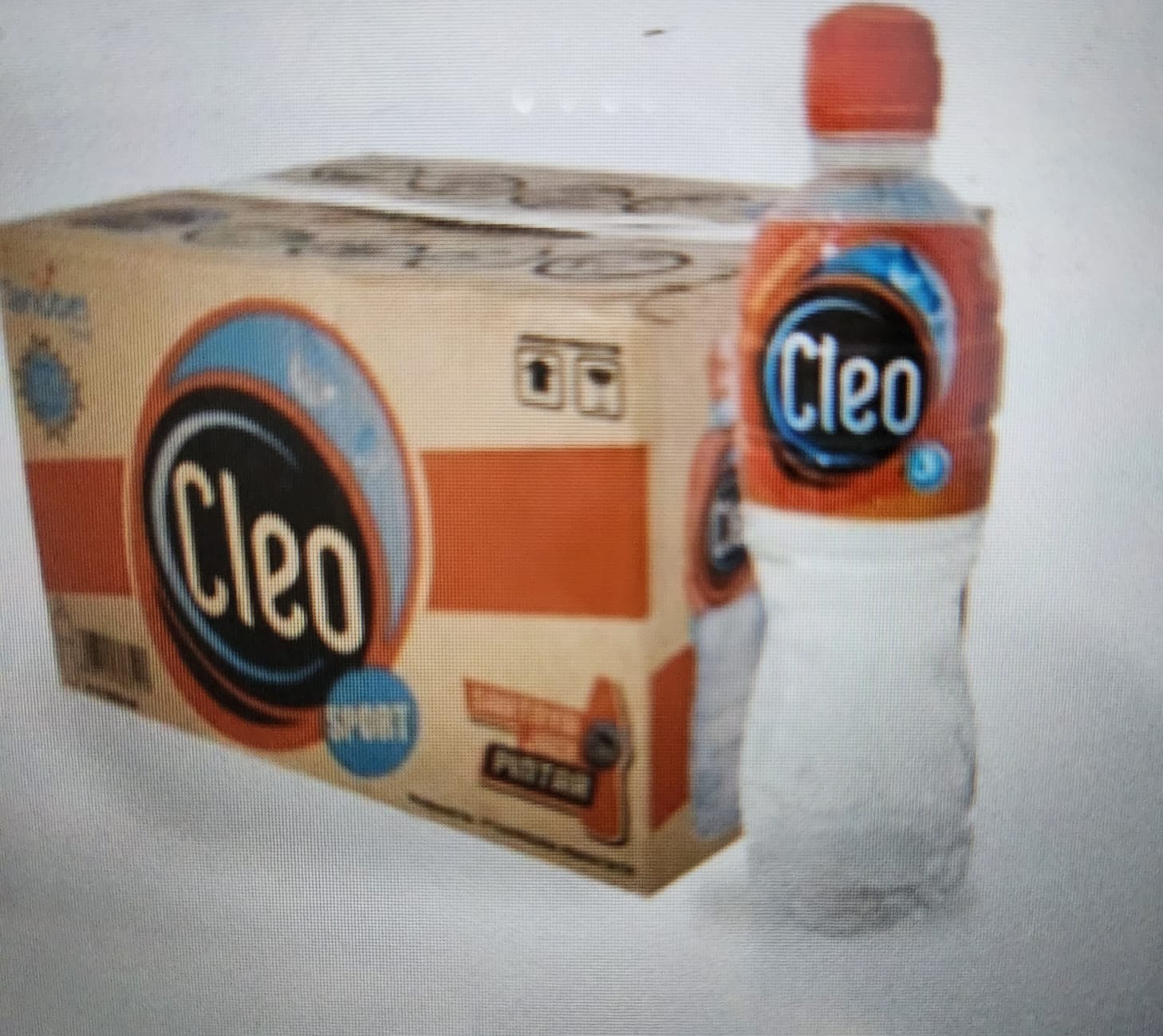 Jual Cleo Sport Botol 600 ML | PaDi UMKM