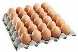 Jual Telur Ayam Negri Negeri per 1 papan 30 butir | PaDi UMKM