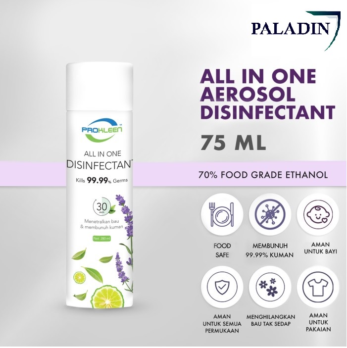 Jual AIR DISINFECTANT SPRAY Aerosol Disinfectant Food Grade 75ml | PaDi ...