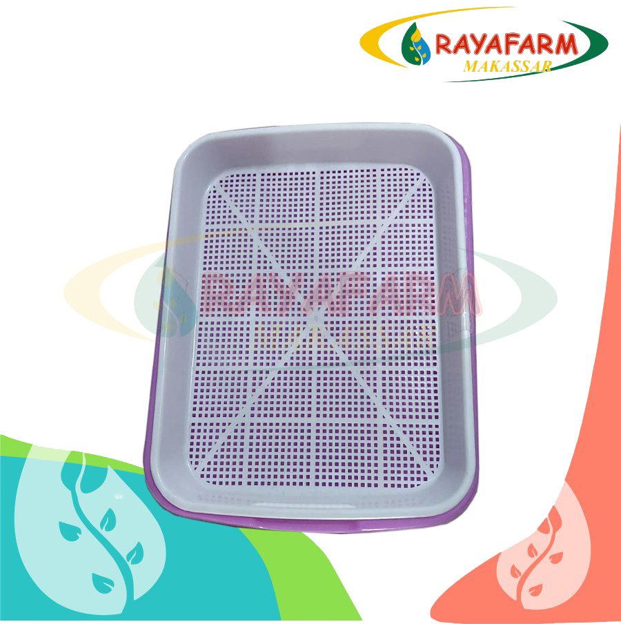 Jual Sprouting Tray / Wadah Semai Tanam Hidroponik | PaDi UMKM